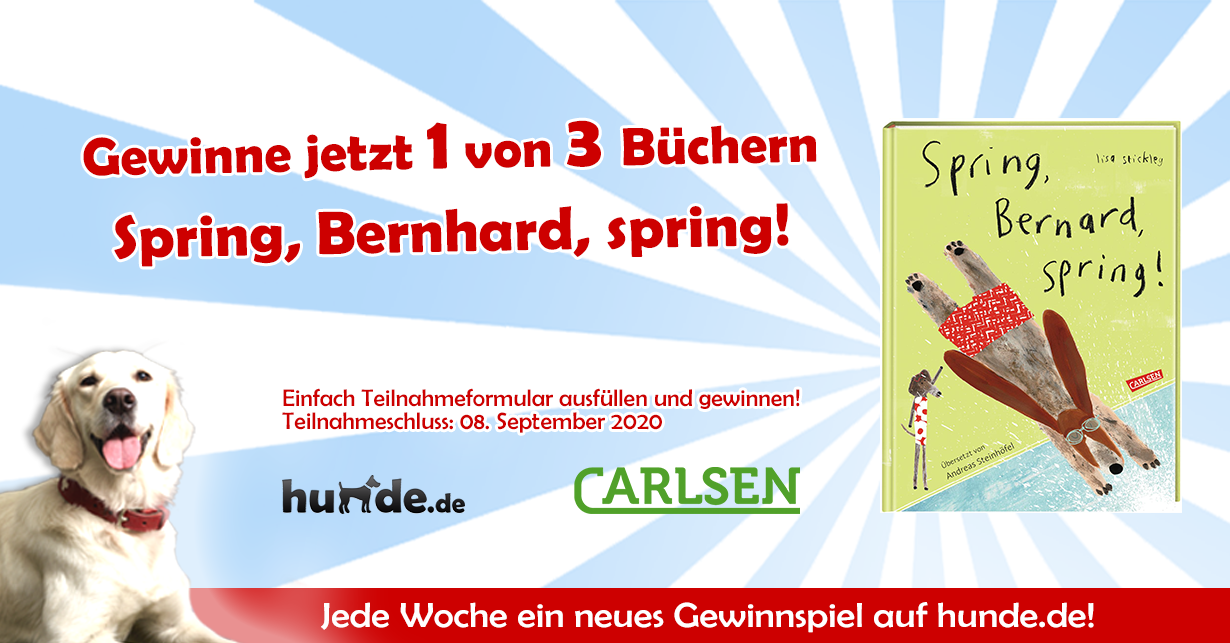 Gewinnspiel: Spring, Bernard, spring! – Hunde.de
